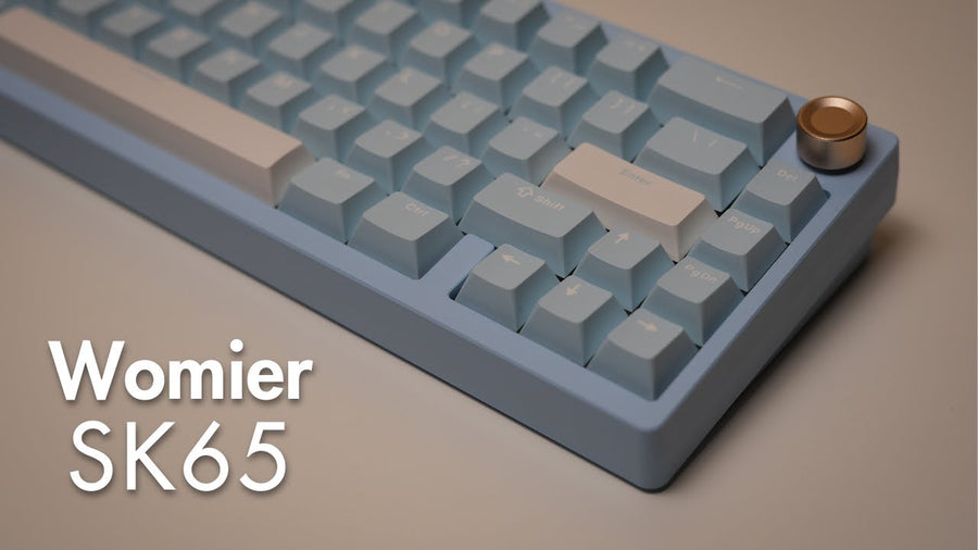 Womier SK65 65% Gasket Mounted Wireless Aluminum Keyboard with Knob ...