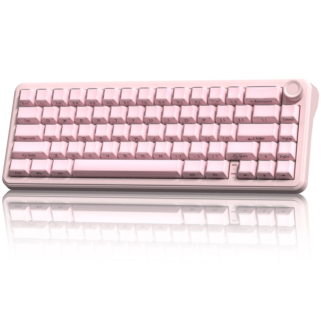 Elevate Your Typing Experience with Womier's Dynamic RGB Backlight ...