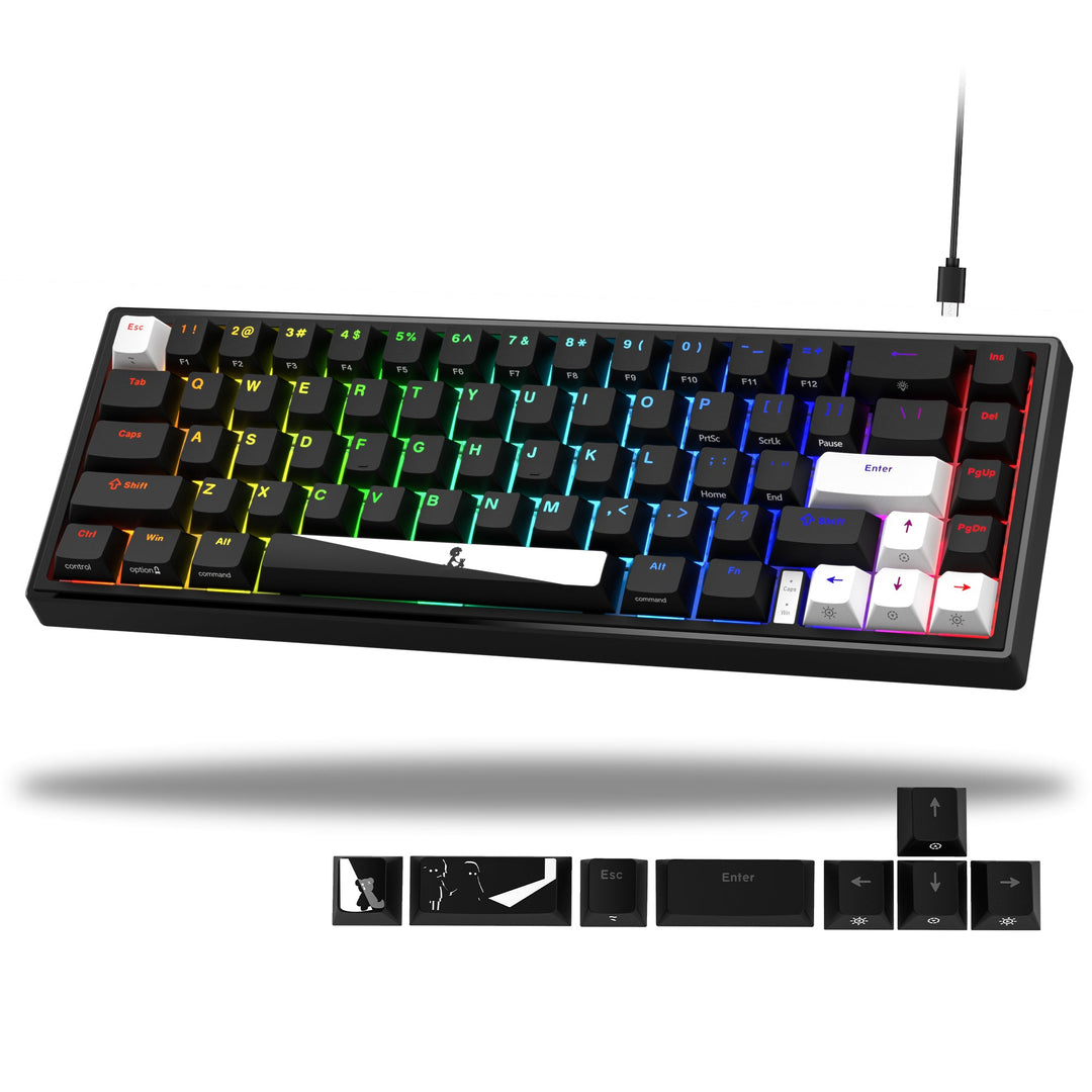 Mechanical Keyboards – Womier Keyboard